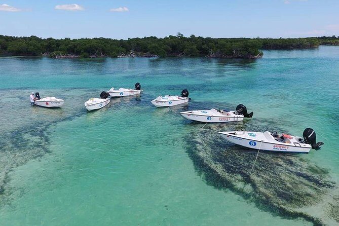 Key West Safari Eco Sandbar Tour Adventure with Snorkeling - The Itinerary in Detail
