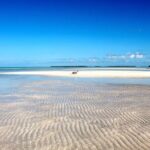 Key west sandbar/eco trip ran by husband and wife naturalist team - Final Thoughts: Why This Tour Is Worth Considering