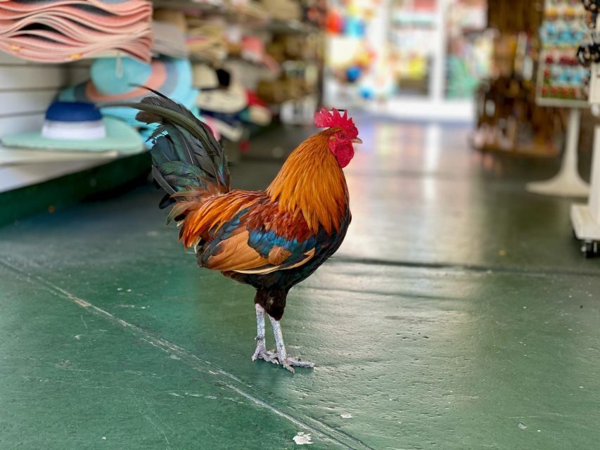 Key West: Secret Walking Food Tour - What’s Included and What’s Not