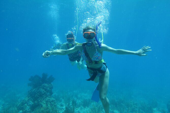 Key West SNUBA Experience - The Marine Environment and Sightings