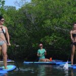 Key West Stand Up Paddleboard Rental - Practical Tips for Participants