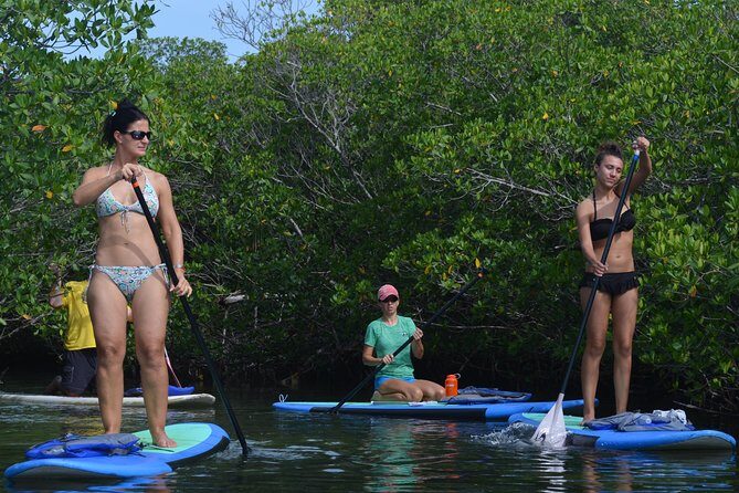 Key West Stand Up Paddleboard Rental - Practical Tips for Participants