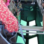 Key West Tours from Miami: Dolphin Discovery, Snorkeling & More ! - Highlights of the Day in Key West