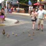 Key Wests Old Town Treasures: A Self-Guided Audio Tour - Who Will Love This Tour?