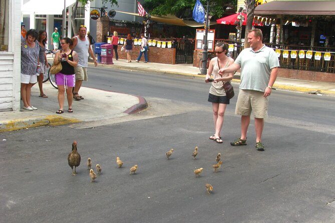 Key Wests Old Town Treasures: A Self-Guided Audio Tour - Who Will Love This Tour?