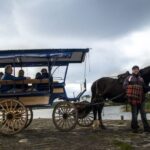 Killarney: 1-Hour Jaunting Car Horse and Carriage Tour - A Detailed Look at the Killarney Jaunting Car Tour