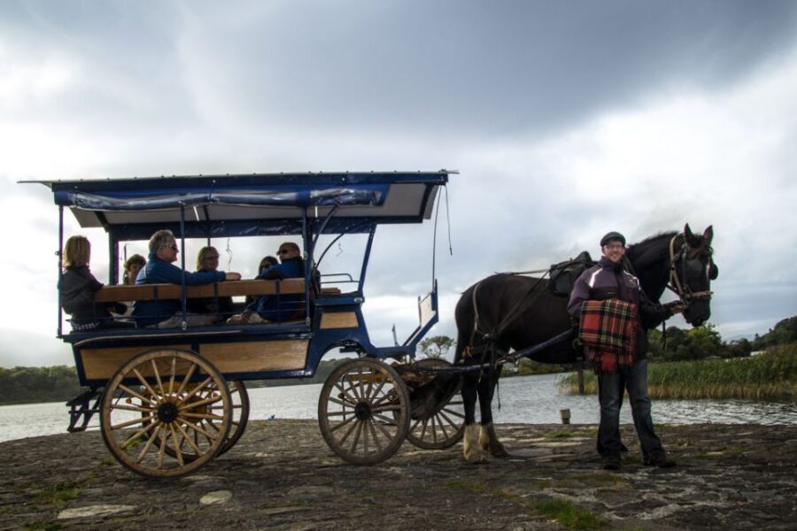 Killarney: 1-Hour Jaunting Car Horse and Carriage Tour - A Detailed Look at the Killarney Jaunting Car Tour