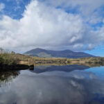 Killarney: Boat Tour to Innisfallen Island, Killarney Lakes - What’s Included and What to Bring