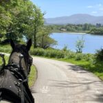 Killarney Carriage Tours National Park and Lakes - The Ideal Traveler for This Tour