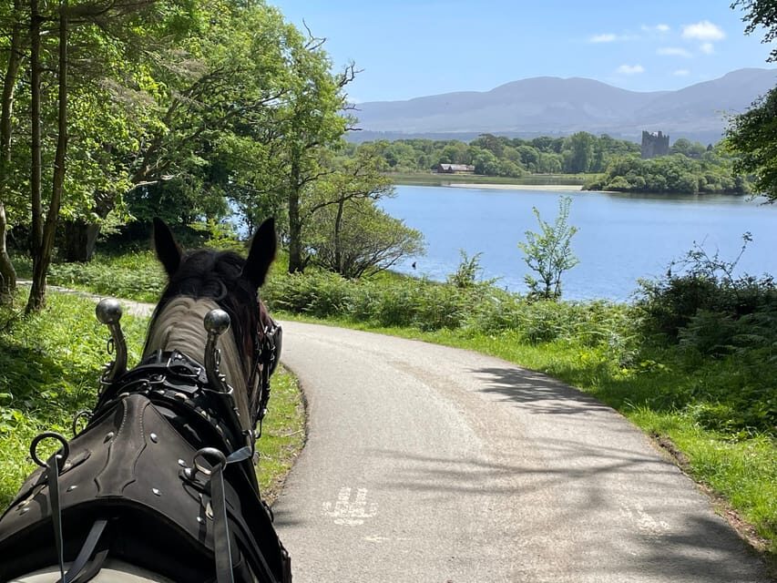 Killarney Carriage Tours National Park and Lakes - The Ideal Traveler for This Tour