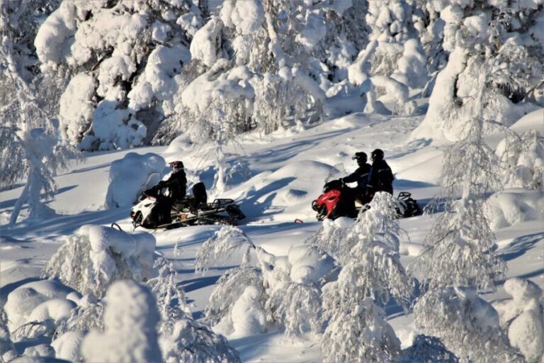 King of Ylläs: Snowmobiling to the Hill - Exploring the Details: What to Expect