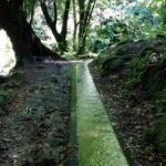 Kings Levada - São Jorge - Summary: Why This Tour Is a Solid Choice