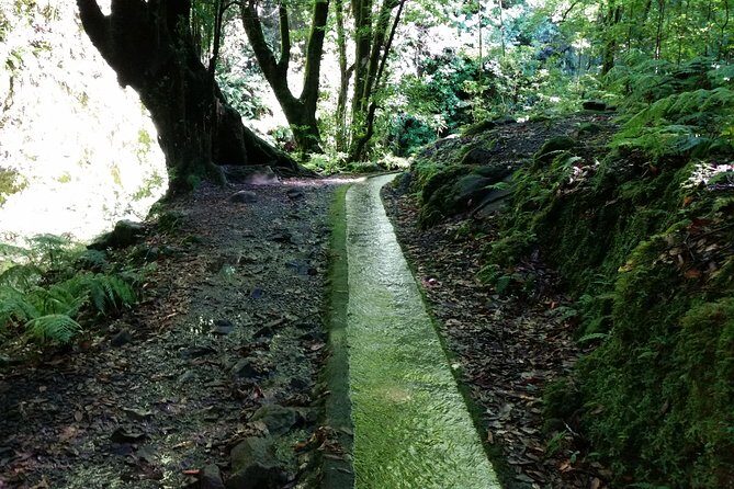 Kings Levada - São Jorge - Summary: Why This Tour Is a Solid Choice