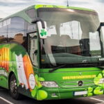 Kinsale: Blarney Castle & Cobh Half Day Tour in Cork - What Makes This Tour Stand Out (and What Doesn’t)