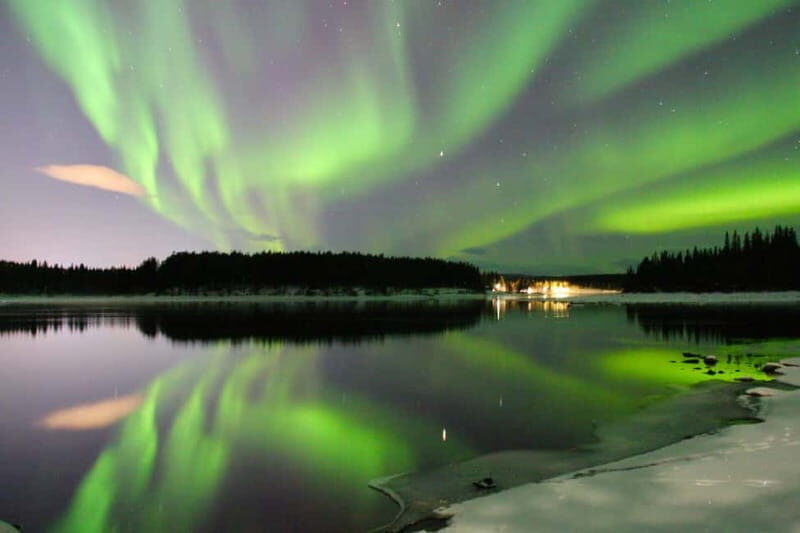Kiruna: Northern Lights Dog Sled Tour with Swedish Fika - What’s Included and What to Expect