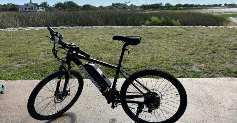 Kissimmee: 4-Hour All Electric Mountain Bike Lakefront Tour - What the Experience Offers