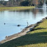 Kissimmee: Self-Guided Lakefront Tour on All Electric Bike - What’s Included and What’s Not