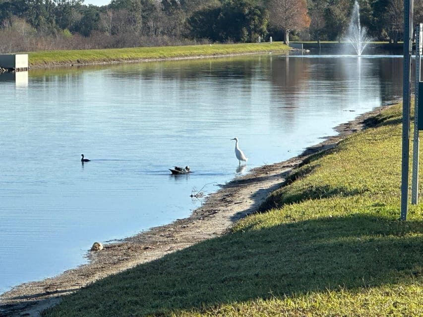 Kissimmee: Self-Guided Lakefront Tour on All Electric Bike - What’s Included and What’s Not