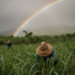 Ko Hana Rum Tour and Tasting - Who Will Appreciate This Tour?