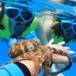 Ko Olina Catamaran Sail and Snorkel - An In-Depth Look at the Ko Olina Catamaran Experience
