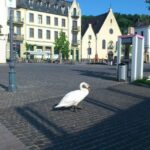 Koblenz: Private Guided Walking Tour - In-Depth Look at the Tour