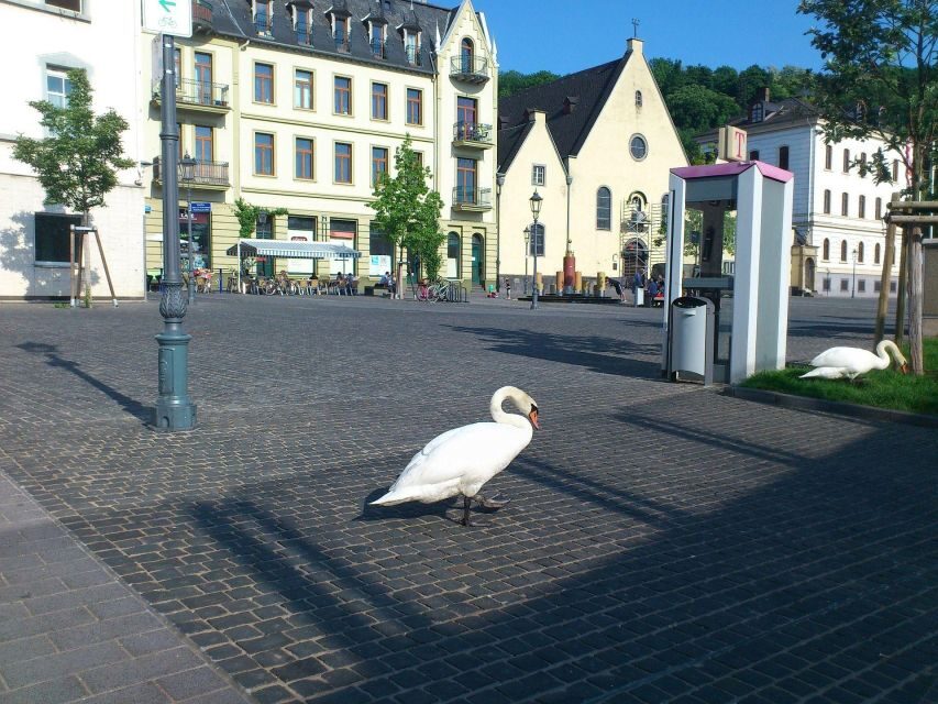 Koblenz: Private Guided Walking Tour - In-Depth Look at the Tour