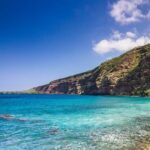 Kona Coast Cruise: Snorkel Kealakekua Bay & Dolphin Encounter - Whats Included and What To Bring