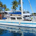 Kona Coastline Escape: Sail with Dolphins & Turtles on Honi Olani - The Sum Up