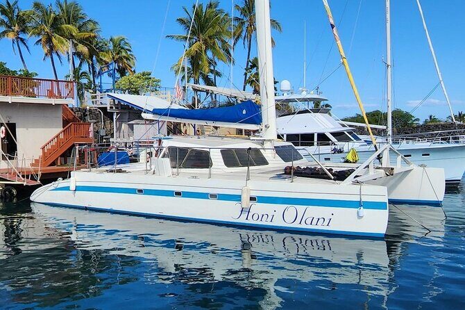 Kona Coastline Escape: Sail with Dolphins & Turtles on Honi Olani - The Sum Up