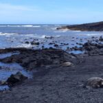 Kona: Hawaii Volcanoes National Park Tour - A Full Breakdown of the Tour Itinerary