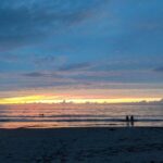 Kona-Kohala Coast Sunset Sail by Catamaran - What Makes It Special: Sunset, Drinks, and Marine Life