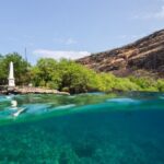 Kona Shore Excursion: Wild Dolphin Reefs Snorkel and Sea Caves - Who Should Book This Tour?