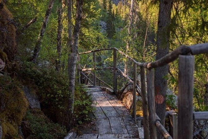 Korouoma National Park & Frozen Waterfalls Adventure - Who Will Love This Tour?