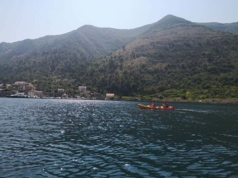 Kotor: Guided Kotor Bay Kayaking Tour - What Travelers Say