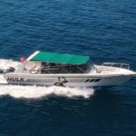 Kotor Perast and Our Lady of the Rock Boat Tour from Herceg Novi - What Travelers Say