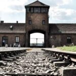 Krakow: Auschwitz-Birkenau Guided Tour Pickup/Lunch Options - The Authenticity and Value of the Experience