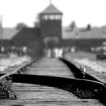 Krakow: Auschwitz-Birkenau Guided Tour with Hotel Transfer - Who Would Love This Tour?