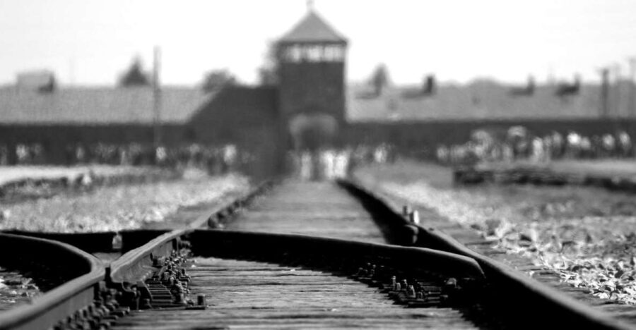 Krakow: Auschwitz-Birkenau Guided Tour with Hotel Transfer - Who Would Love This Tour?