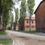 Krakow Auschwitz-Birkenau Memorial Guided Tour Meeting Point - A Practical Guide to the Auschwitz-Birkenau Guided Tour