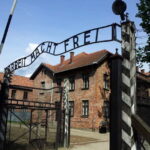 Krakow: Auschwitz-Birkenau Memorial Tour with Optional Lunch - The Experience’s Value and Practicalities