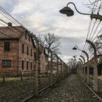 Krakow: Auschwitz-Birkenau & Salt Mine OneDay Tour (hotel pickup) - In The Sum Up