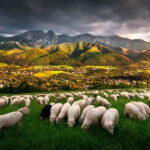 Krakow: Zakopane Trip with Thermal Pools & Hotel Pick-up - Who Should Consider This Tour?