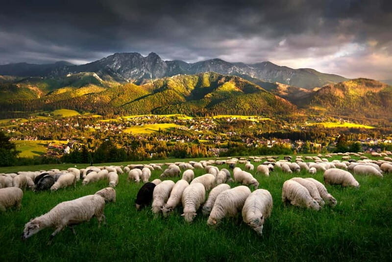 Krakow: Zakopane Trip with Thermal Pools & Hotel Pick-up - Who Should Consider This Tour?
