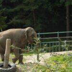 Krakow: Zoo Tour with Private Transport and Tickets - Who Will Love This Tour?