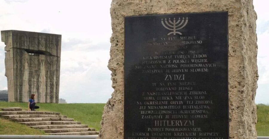 Krakow's Vistula Cruise & Plaszow Concentration Camp Tour - Final Thoughts: Who Is This Tour Best For?