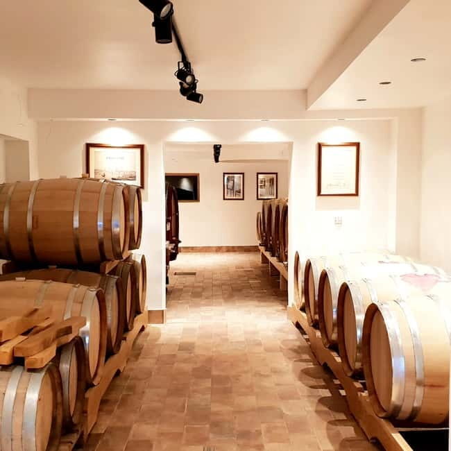 Krk: Family-Owned Winery Tour and Tasting - Assessing Value and Potential Drawbacks