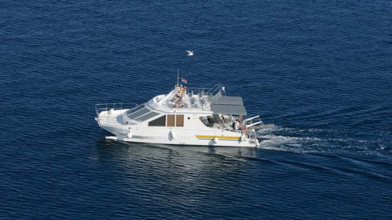 Krk Island: Half-Day Boat Trip to Five Islands - Authentic Experiences & Insights from Reviews