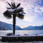 (KTG303) - Winter Montreux, Chillon & Chaplin's World from Geneva - What Travelers Say: Authentic Perspectives