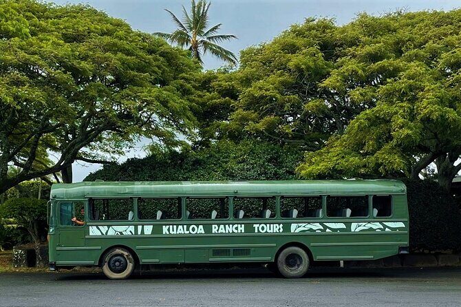 Kualoa Ranch: Movie Sites and Ranch Tour - The Value of the Tour