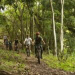 Kualoa Ranch - Ultra E-Bike Tour 3-Hour - Who Will Love This Tour?